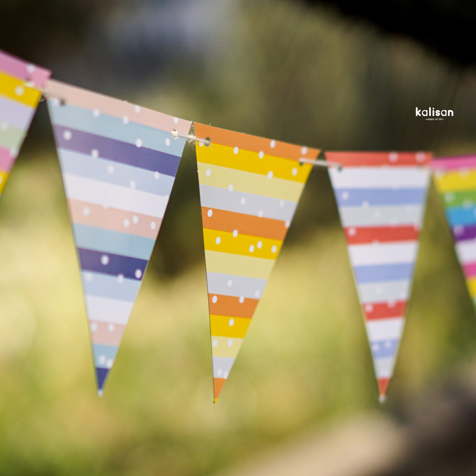 Kalisan – Colors of Life